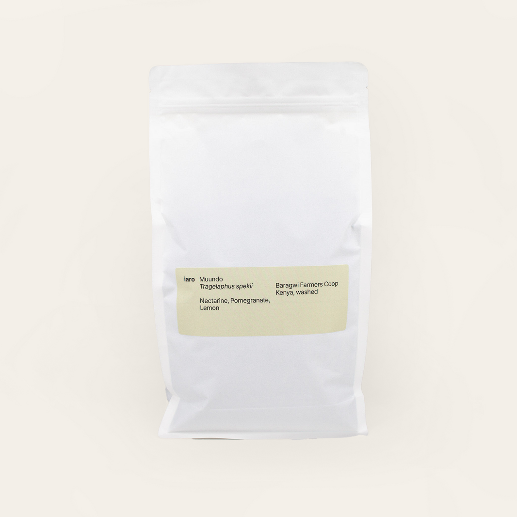 iaro - we are roaster, bakers, hosts and guides